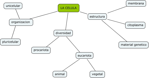 la celula bertha vidal